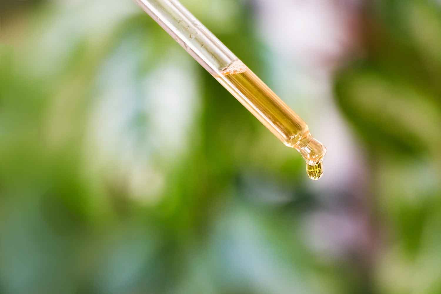 What is Delta 8 Tincture? Effects Explained | 3Chi Blog