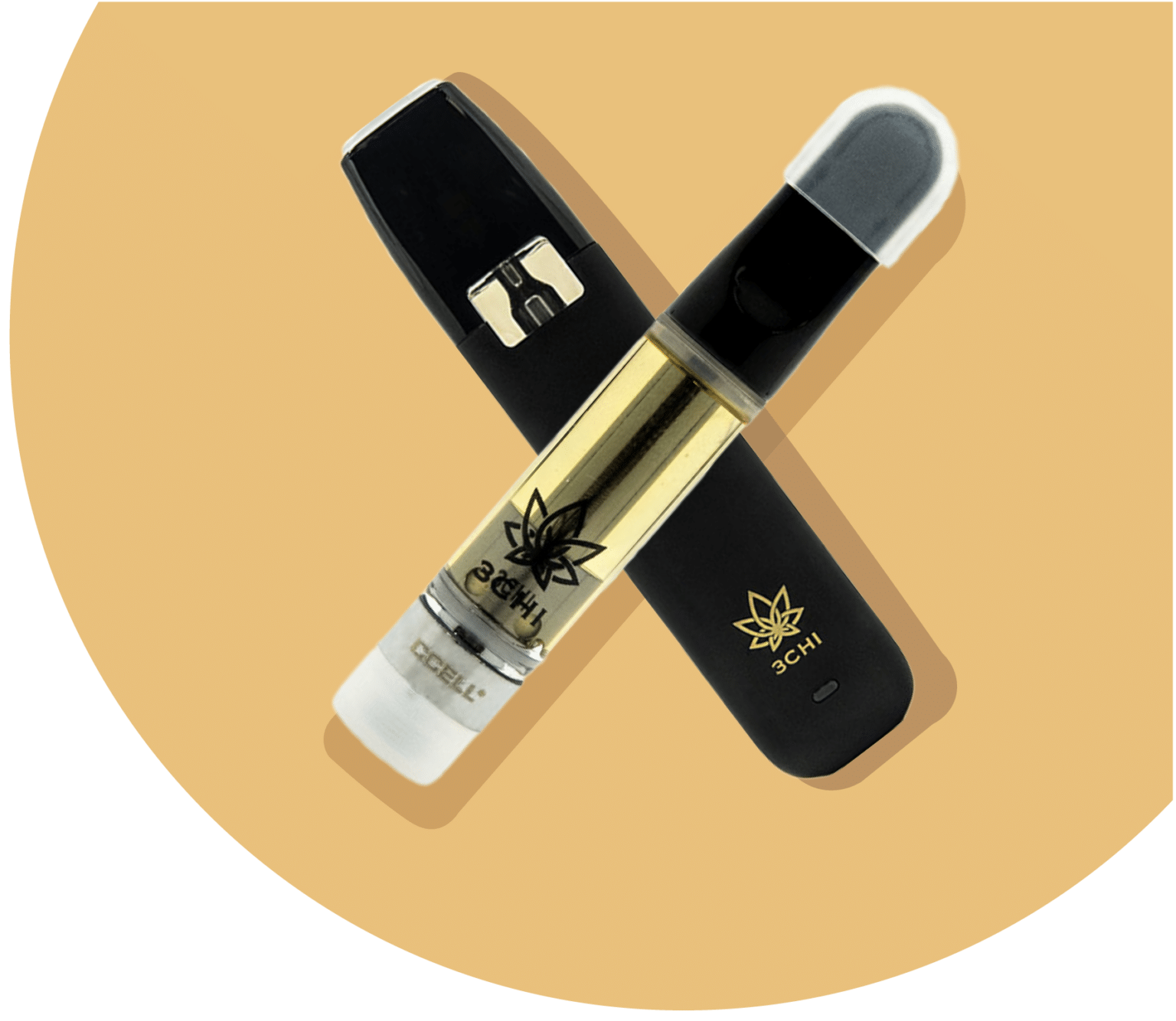 3CHI Rewards Program: Earn Points for Great Deals | 3CHI