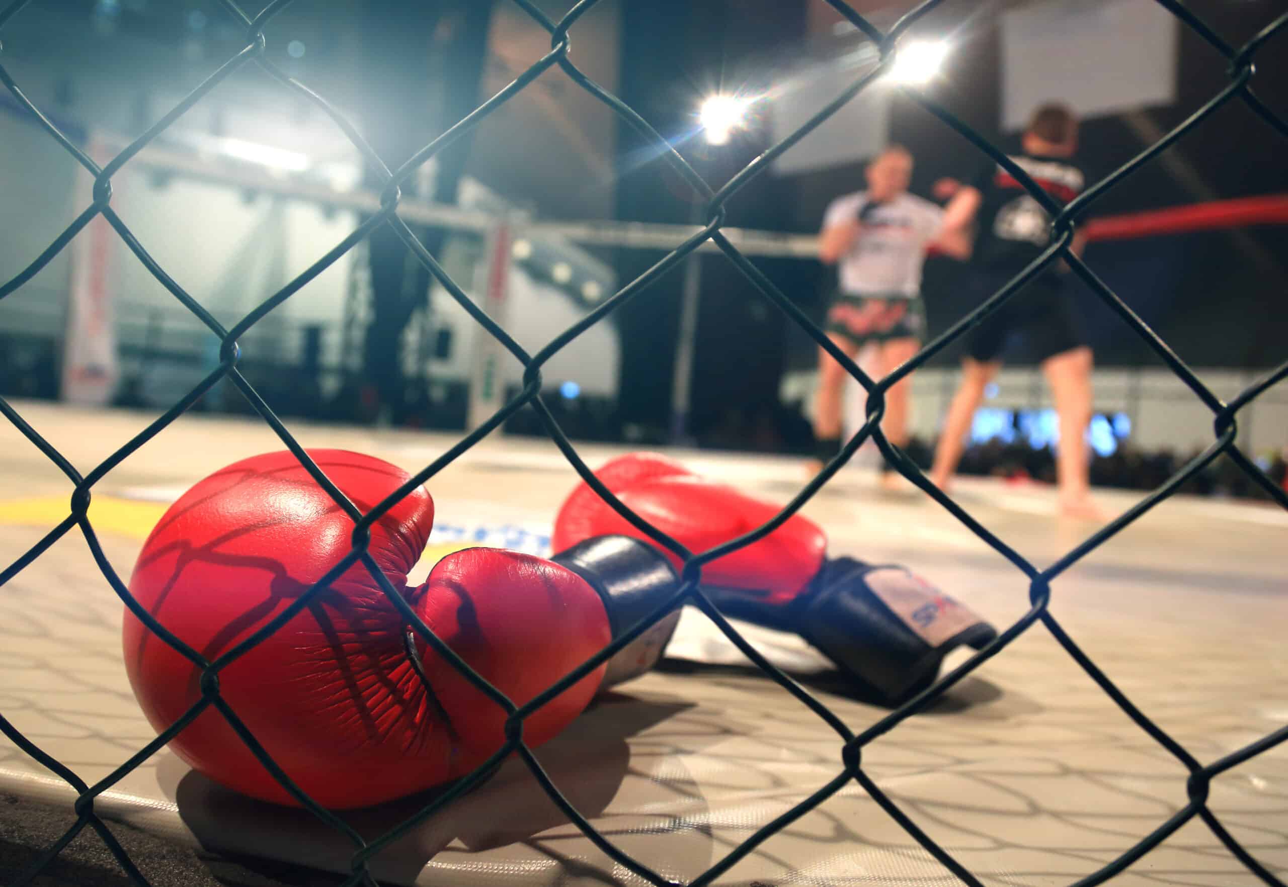 UFC Embraces Cannabis Use For Its Athletes - 3CHI