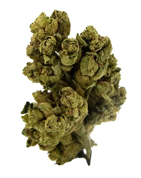 A Guide to Modified Grapes Strain Effects and History - 3CHI