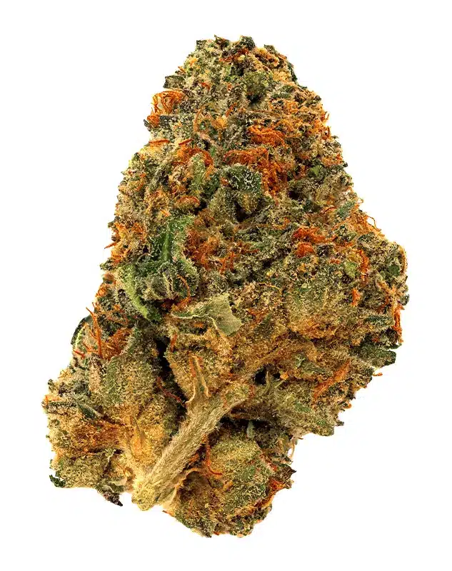 Mendo Breath Strain: Its Origin and Effects Explained - 3CHI