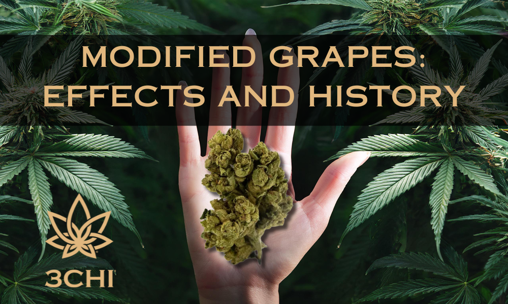 A Guide to Modified Grapes Strain Effects and History - 3CHI
