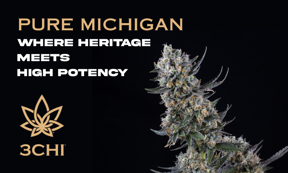 Pure Michigan Strain: Where Heritage Meets High Potency - 3CHI