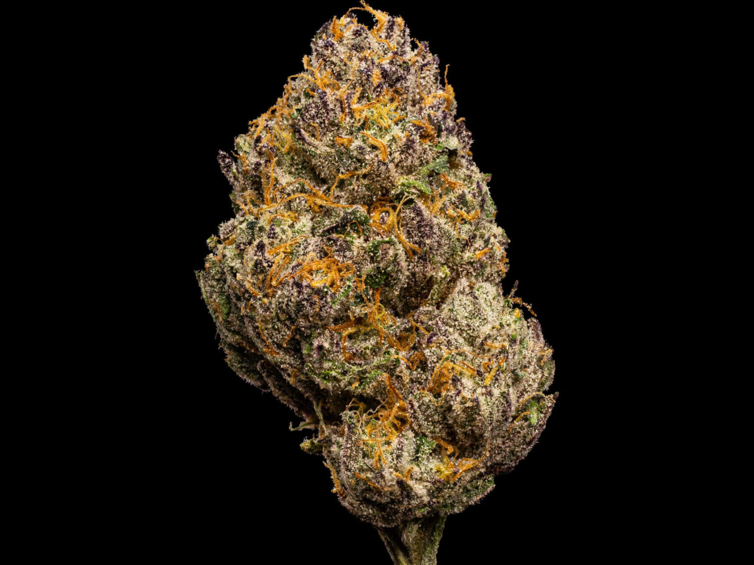 Ice Cream Cake Strain: A Sweet Indica Nightcap - 3CHI